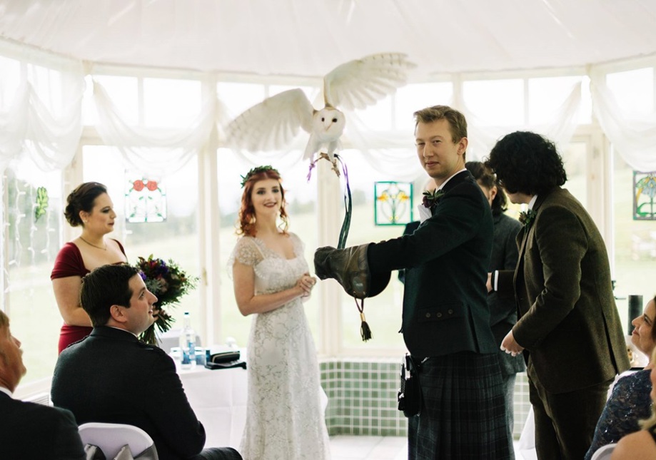 Tie The Knot Scotland | Falconry Scotland