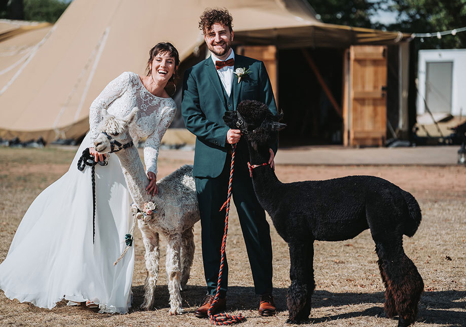 Tie The Knot Scotland | John Muir Alpacas