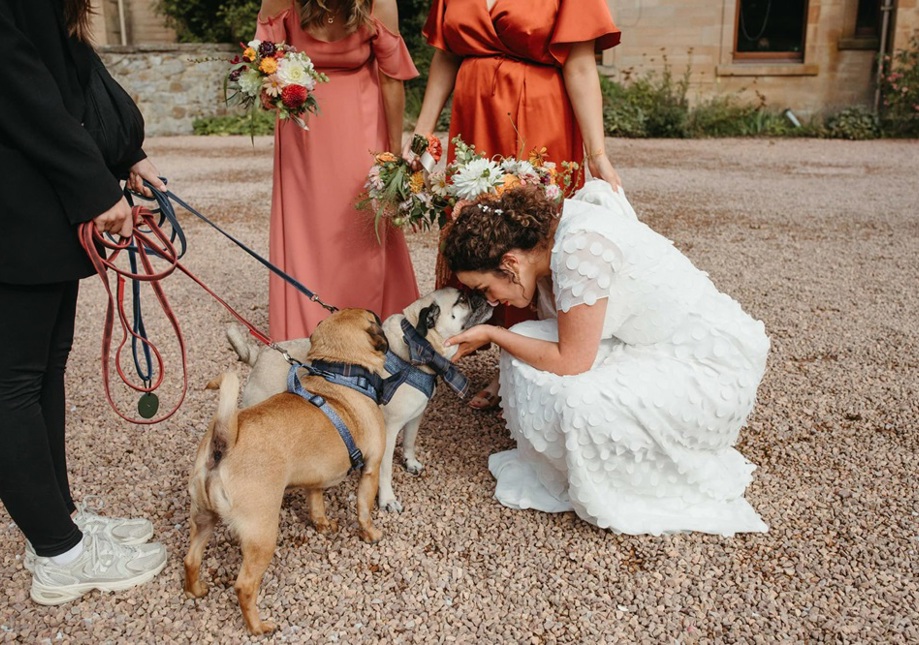 Tie The Knot Scotland | The Dog Lady