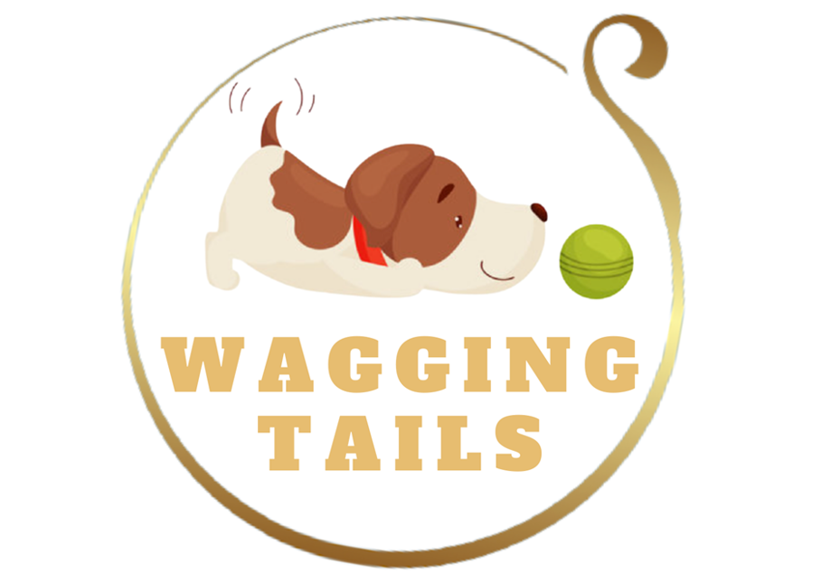 Tie The Knot Scotland | Wagging Tails